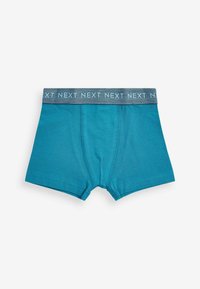 Next TRUNKS 10 PACK - Panties - blue/blau - Zalando.ch