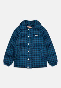 TINYCOTTONS VICHY PADDED UNISEX - Winter jacket - blue/navy/blue - Zalando.co.uk
