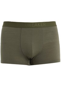 Icebreaker MERINO ANATOMICA COOL-LITE - Pants - OLIVE/green - Zalando.co.uk