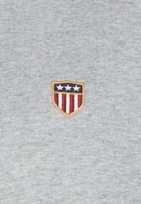 GANT BANNER SHIELD - Camiseta de manga larga - grey/gris claro - Zalando.es