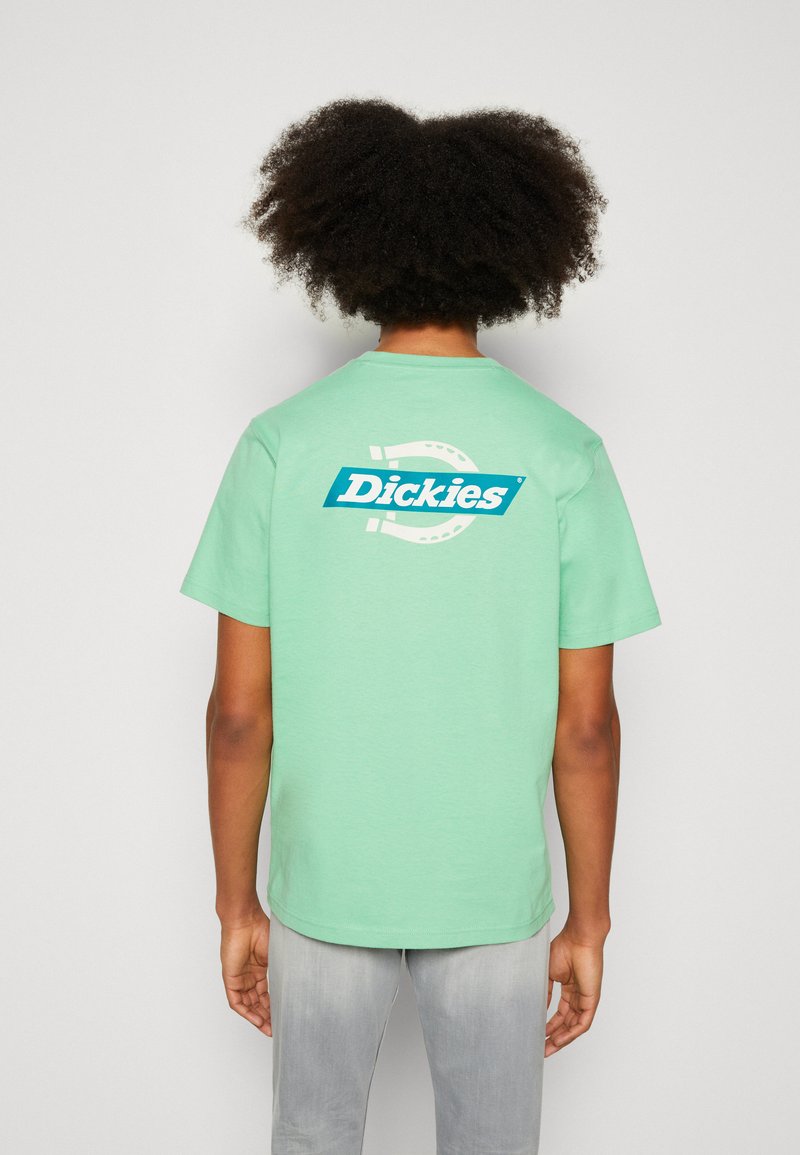 Dickies Ruston Tee Unisex T Shirt Print Mintmintgroen Zalandobe