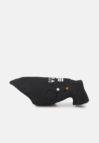 Alpha Industries MA-1 DOG JACKET BACK PRINT - Tierbedarf - black ...