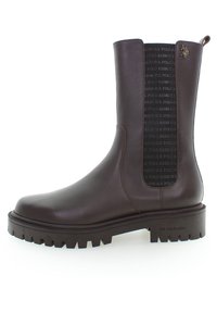 U.S. Polo Assn. Bottines - dark brown/marron - ZALANDO.FR