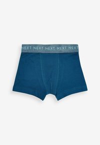 Next TRUNKS 10 PACK - Panties - blue/blau - Zalando.ch