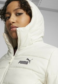 Puma HOODED PADDED JACKET - Winterjacke - alpine snow/offwhite - Zalando.ch