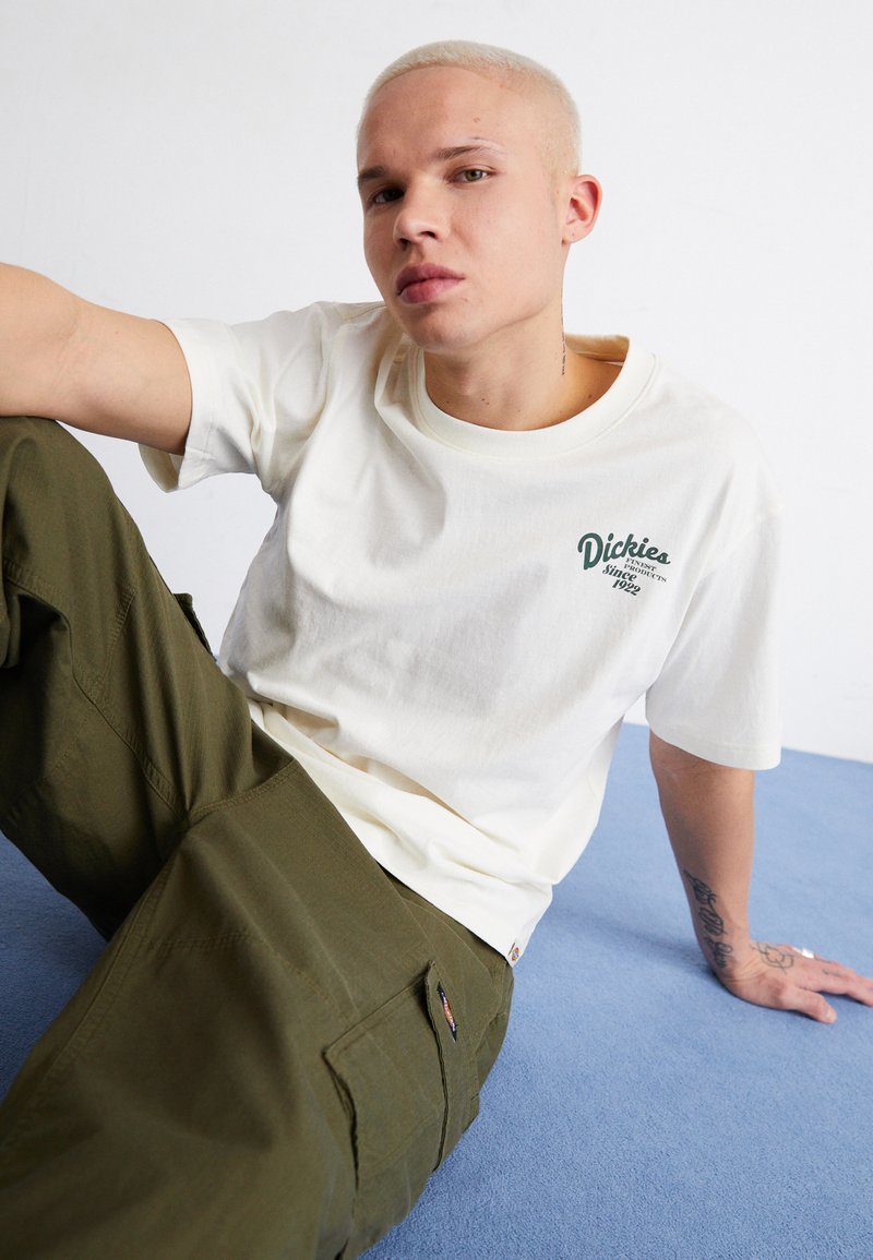 Dickies RAVEN TEE - Print T-shirt - cloud/off-white - Zalando.ie