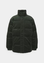 Carhartt WIP LAYTON JACKET - Talvitakki - dark cedar / dark cedar/tummanvihreä - Zalando.fi