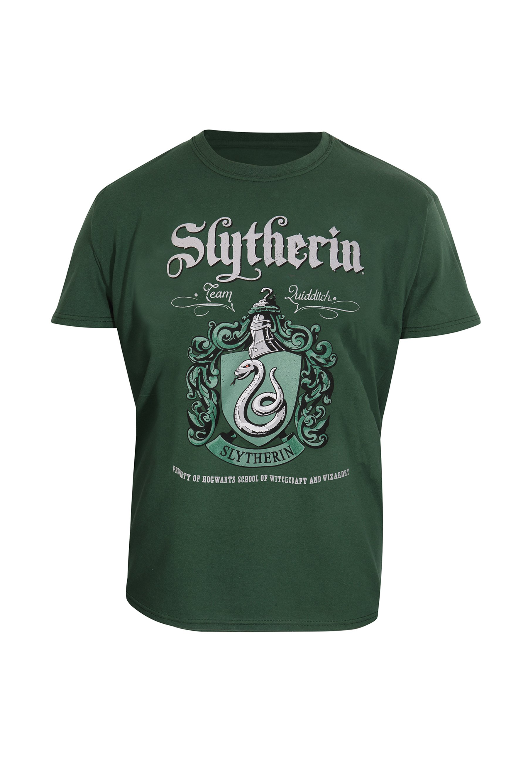Slytherin Quidditch Crest Slytherin Vector At Vectorified.com