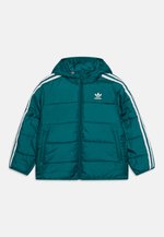 adidas Originals KIDS UNISEX - Winter jacket - legacy teal/teal ...