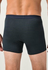 JP1880 2-PACK FLEXNAMIC OEKO-TEX LOUNGEWEAR UP TO 8 XL - Trunks - dark ...