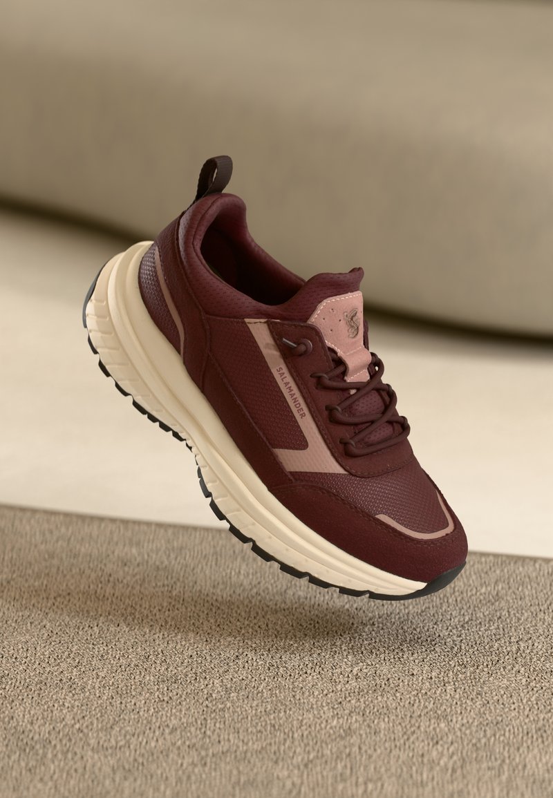 Salamander VERL - Sneaker low - bordo/bordeaux - Zalando