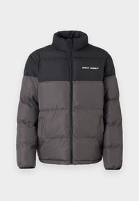 Night Addict Winter jacket - grey - Zalando.ie