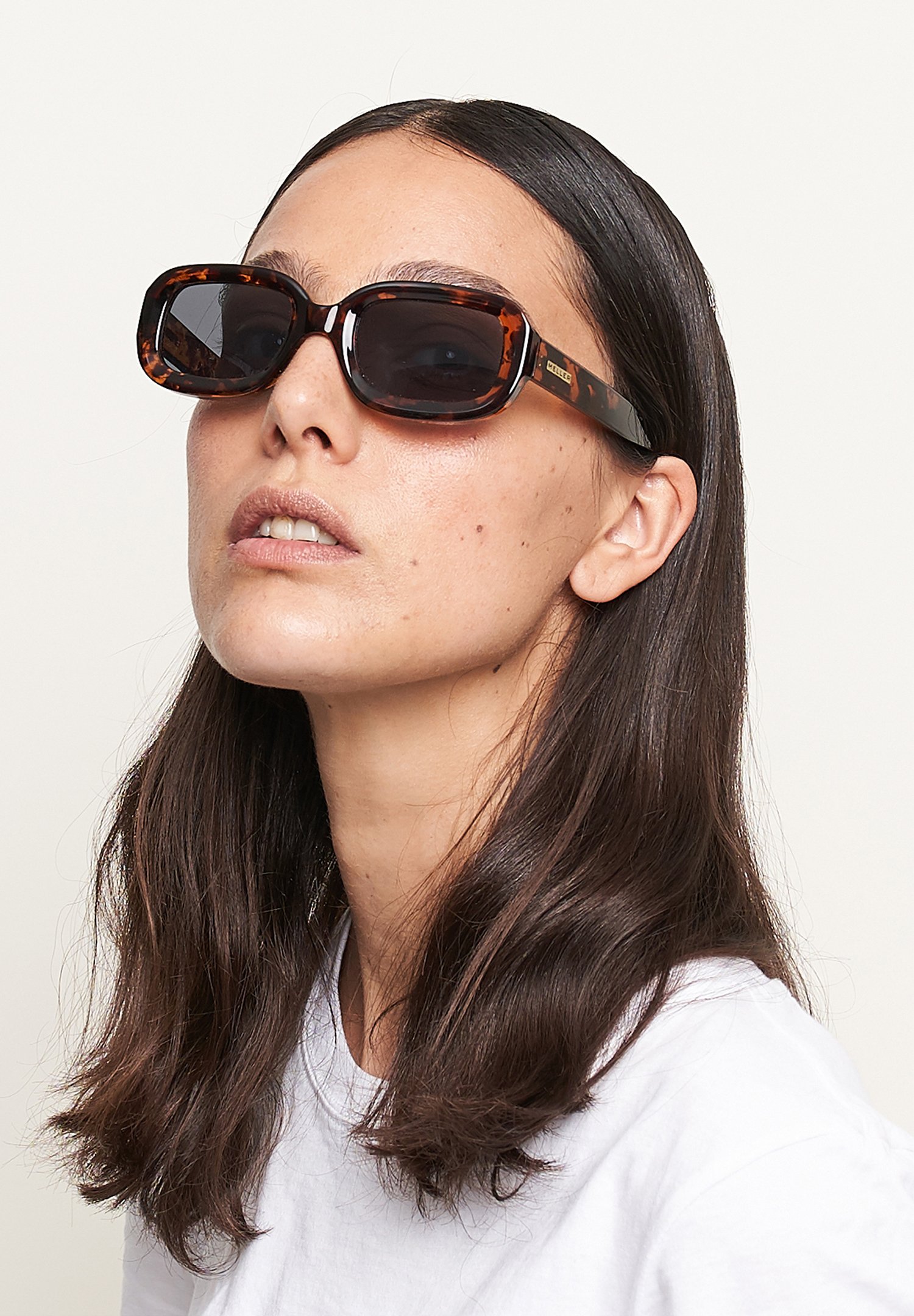 Sol Stone's Instagram, Twitter & Facebook on IDCrawl