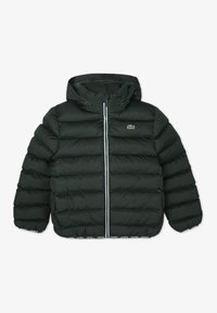 Lacoste PUFFER - Veste d'hiver - sinople/vert foncé - ZALANDO.FR