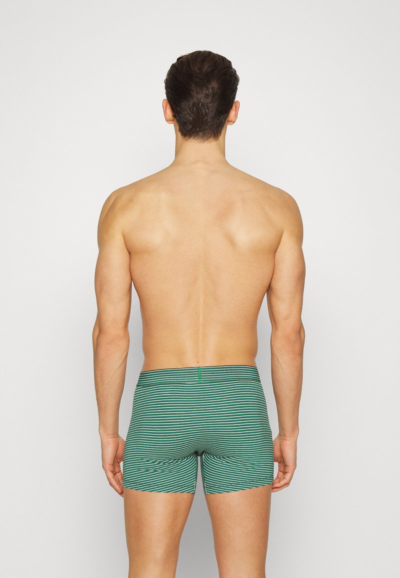 Levi's® MEN OFFBEAT STRIPE BOXER BRIEF 2 PACK - Pants - aquarelle/green ...