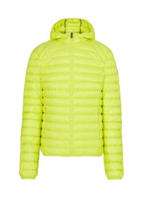 JOTT NICO - Gewatteerde jas - vert/groen - Zalando.nl