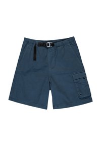 Element Shorts - bsl/light blue - Zalando