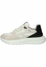 Blackstone MADISON - Sneaker low - lamb/offwhite - Zalando.at