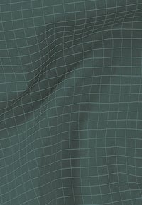 Jack Wolfskin FIND THE WILD 2L JKT M - Soft shell jacket - sago palm ...