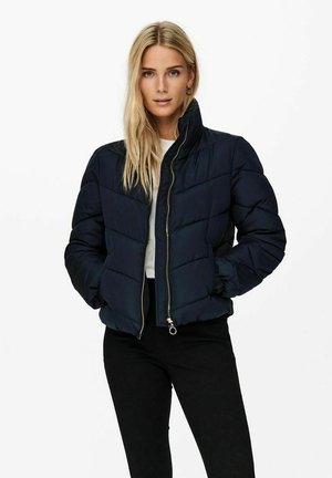 Vinterjackor online | Dam | Zalando