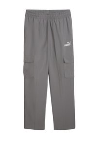 Puma ESSENTIALS NO. 1 LOGO - Pantalon cargo - cast iron/gris - ZALANDO.FR