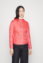 Colmar Originals LADIES JACKET - Daunenjacke - spiced coral/pink ...