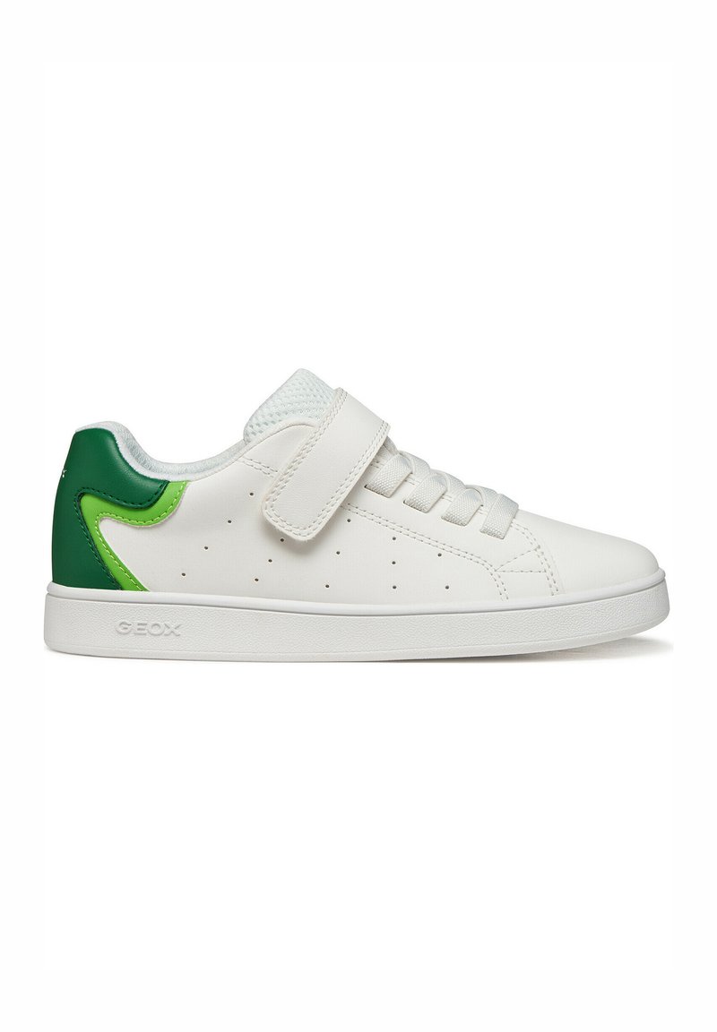 Geox ECLYPER - Zapatillas - white green/blanco - Zalando.es