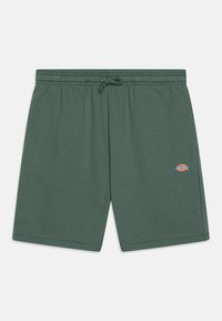 Dickies YOUTH MAPLETON UNISEX - Shorts - dark forest/dark green - Zalando