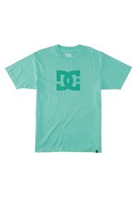 DC Shoes PIGMENT DYE HSS - T-Shirt print - biscay green enzyme wash ...