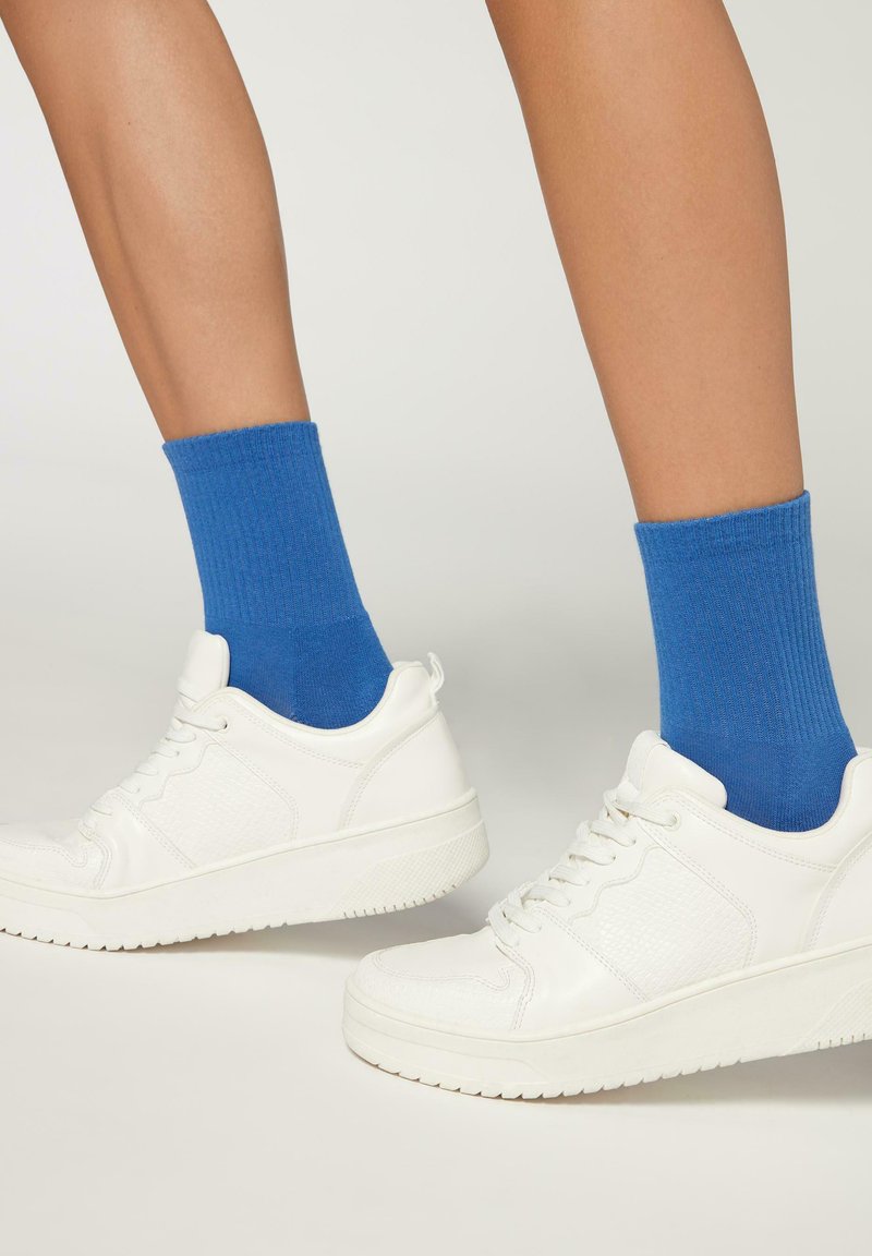 Calzedonia SPORT UNISEX - Sports socks - azzurro mare/blue-grey ...