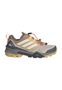 adidas Terrex SKYCHASER GORE-TEX - Hiking shoes - taupe off white ice ...