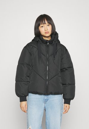 Champion Rochester HOODED JACKET - Winterjacke - black/schwarz - Zalando.de