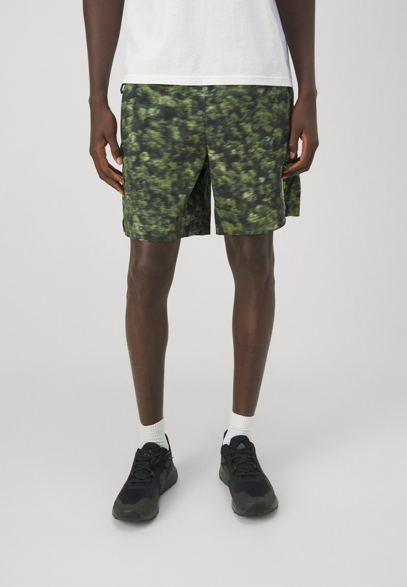 Adidas Terrex NATIONAL GEOGRAPHIC - Outdoor shorts - silver pebble/dark ...