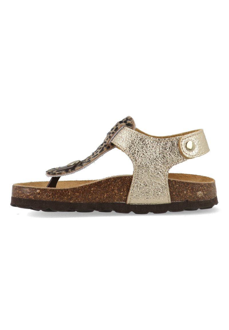 Kipling MILEY - T-bar sandals - gold coloured/gold-coloured - Zalando.de