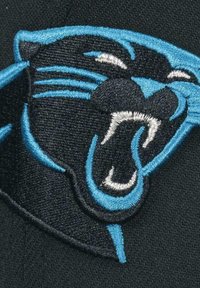 New Era CAROLINA PANTHERS NFL CORE EDITION 39THIRTY STRETCH - Cap ...