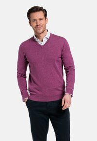 Baileys Trui - grape melange/paars - Zalando.nl