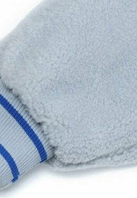 Vanida Dang RACING - Veste polaire - blue/bleu - ZALANDO.FR