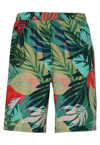 Wavebreaker Plavky - mehrfarbig/více barev - Zalando.cz