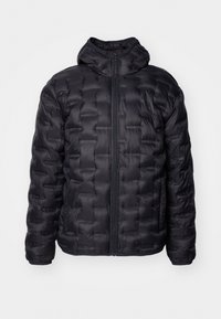 Hollister Co. PUFFER - Übergangsjacke - phantom/schwarz - Zalando.de