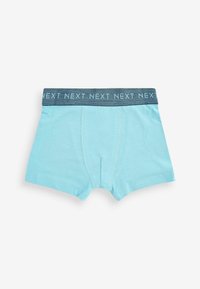 Next TRUNKS 10 PACK - Panties - blue/blau - Zalando.ch