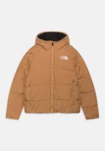 The North Face REVERSIBLE HOODED UNISEX - Dunjacka - almond butter ...