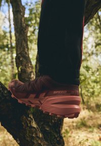 Salomon SPEEDCROSS 6 GTX - Trail running shoes - rum raisin/barn red ...