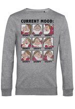 Disney SNOW WHITE CURRENT MOOD GRUMPY - Sweatshirt - heather grey ...