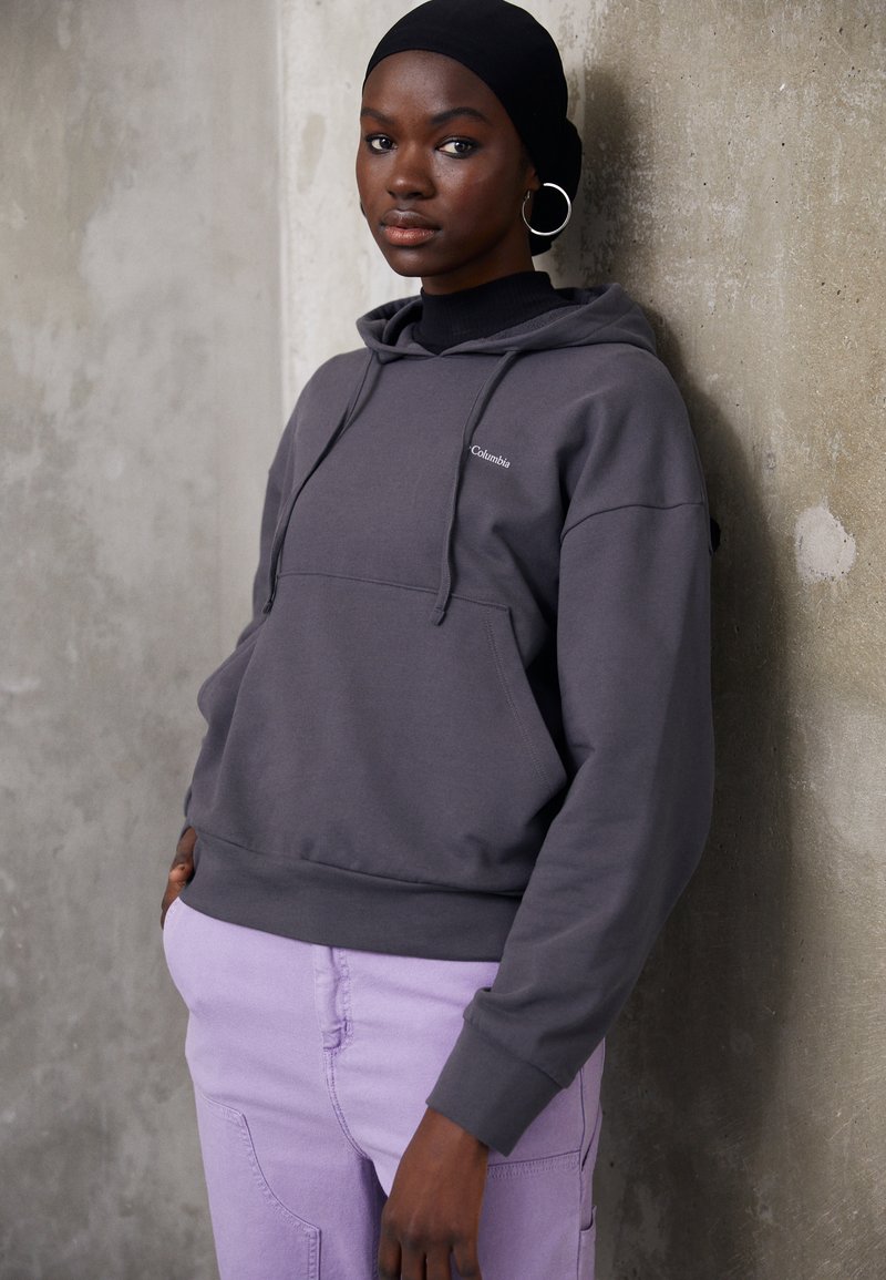 Columbia BREAK IT DOWN™ HOODIE - Sweatshirt - shark/black - Zalando.co.uk