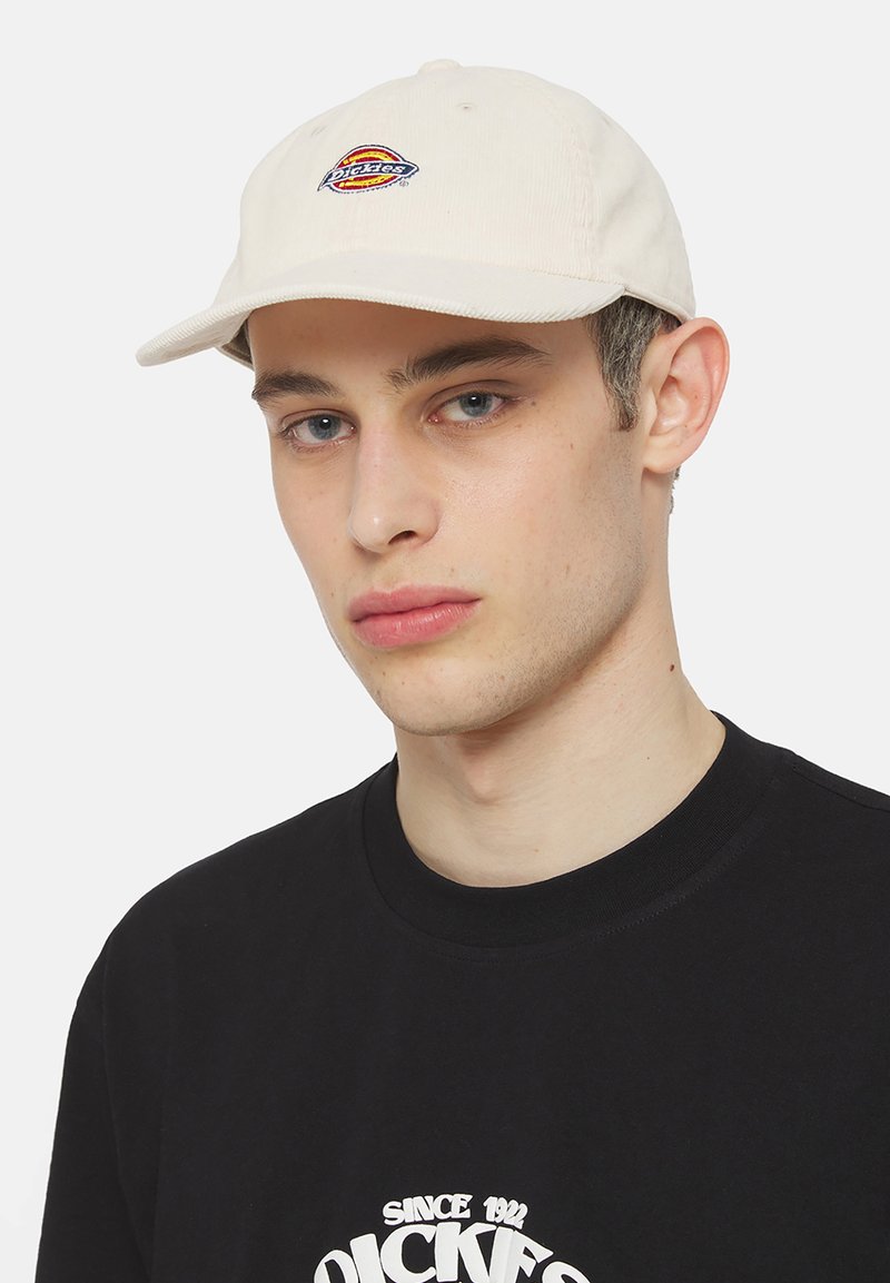 Dickies CHASE CITY UNISEX - Cap - whitecap gray/beige - Zalando.de