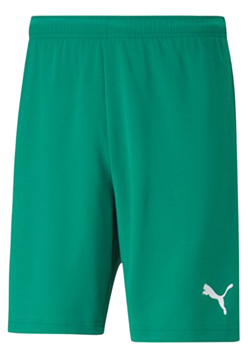Puma TEAMRISE MAND - Short de sport - gruenweiss/vert - ZALANDO.FR