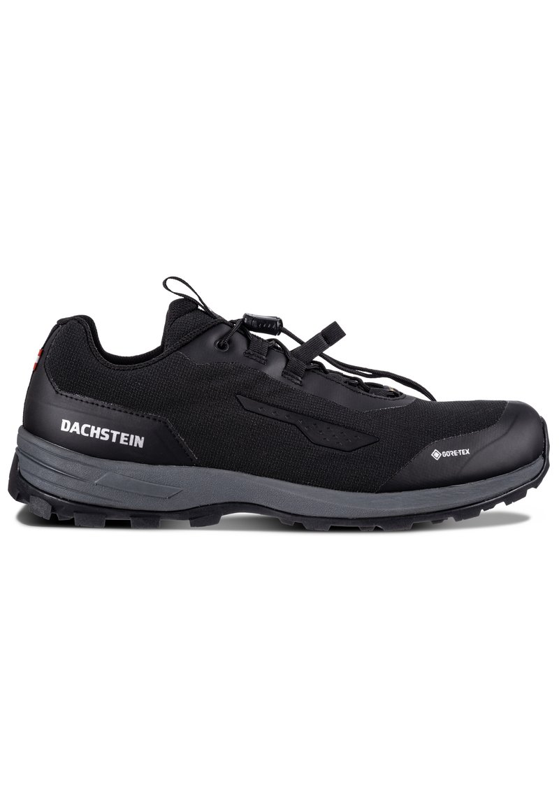 Dachstein DELTA RISE 2.0 GTX - Hiking shoes - schwarz/black - Zalando