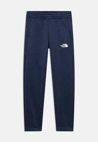 The North Face TEEN REAXION JOGGER UNISEX - Tracksuit bottoms - summit ...