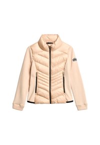 Superdry Winterjas - frappe beige/beige - Zalando.nl