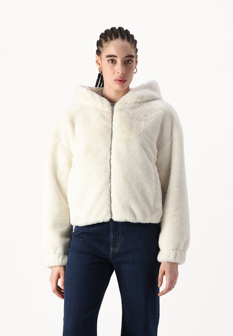 Hollister Co. Winter jacket - birch/off-white - Zalando.ie